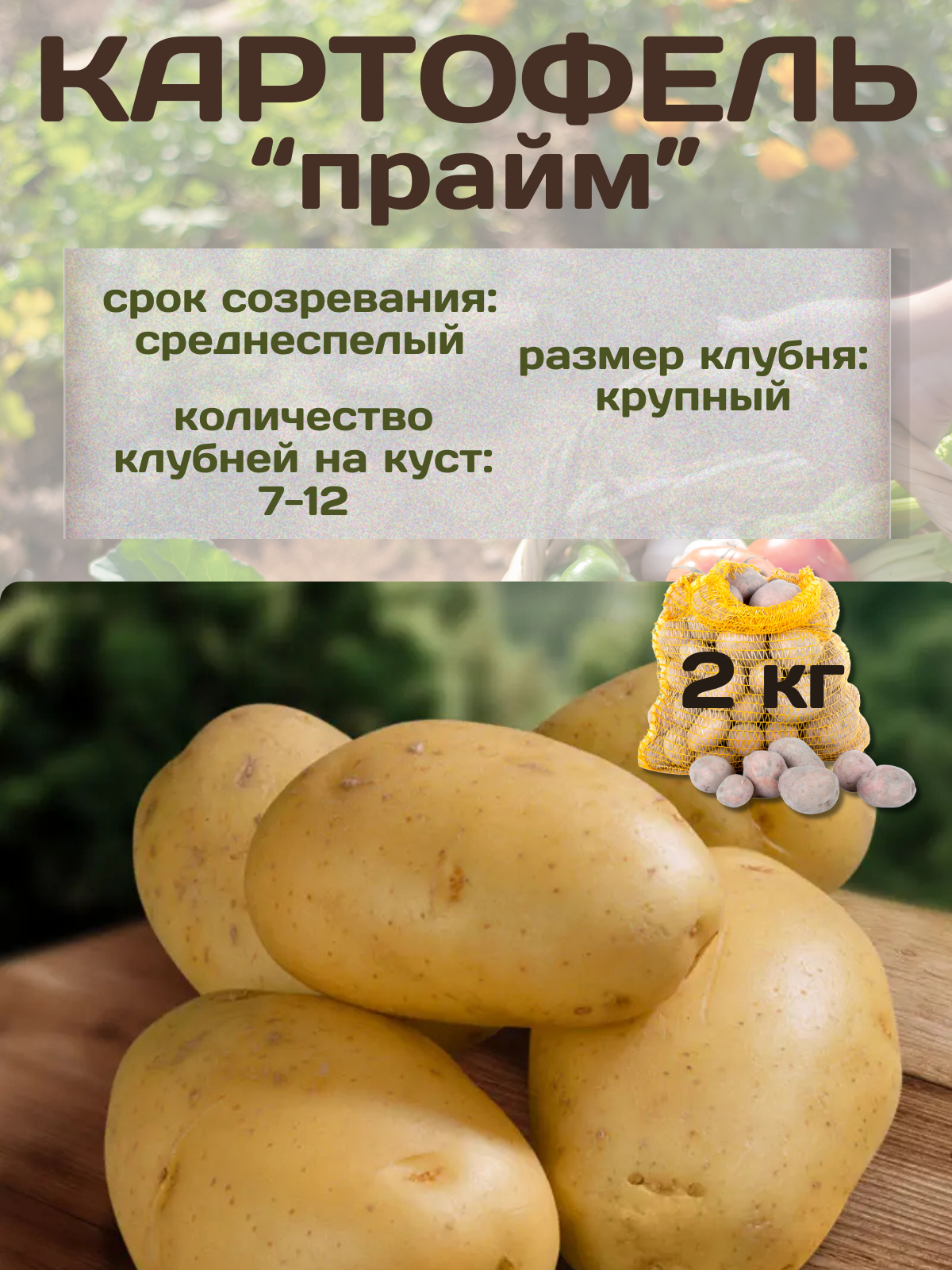 Картофель семенной Прайм 2 кг, на посадку