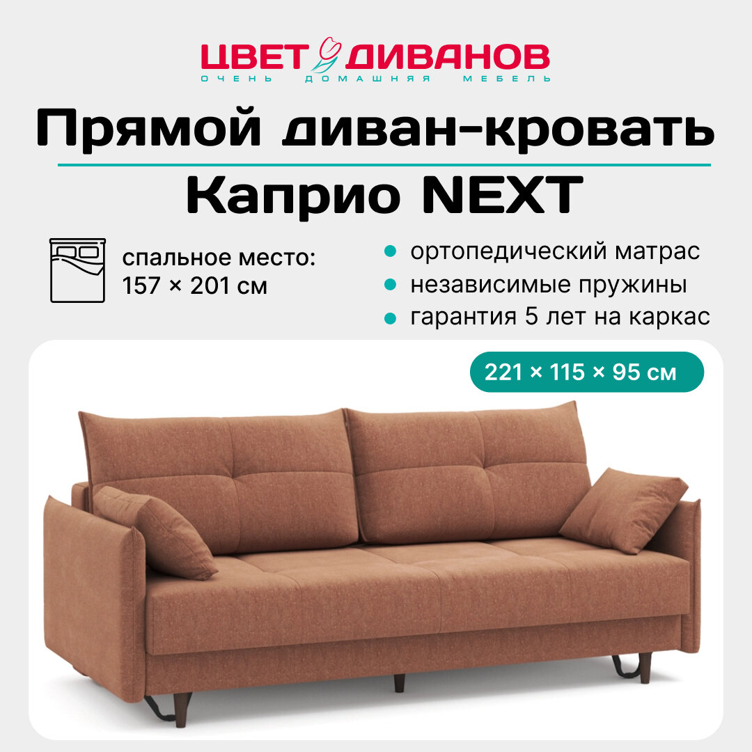 Прямой диван кровать Цвет Диванов Каприо NEXT 22 221 раскладной, пружинный ортопедический матрас, шенилл, металлокаркас