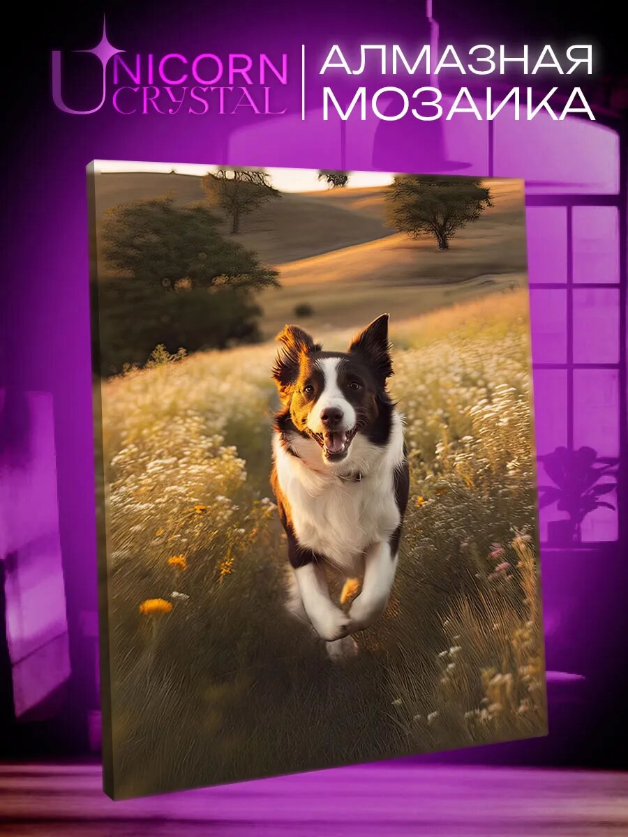 Алмазная мозаика Собака