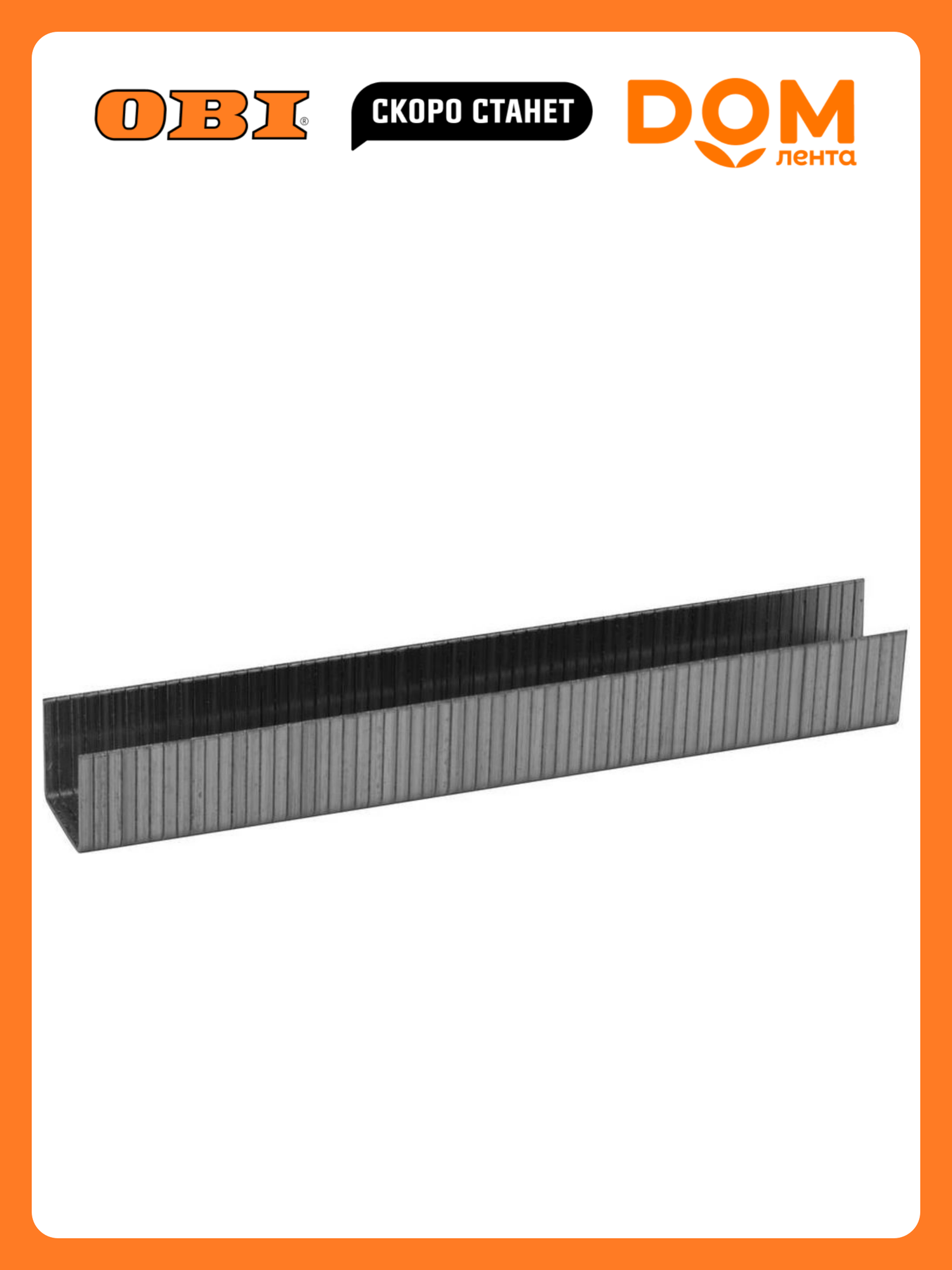 Скобы ЗУБР тип 140, плоские, особотвердая сталь, 10мм, 1000шт