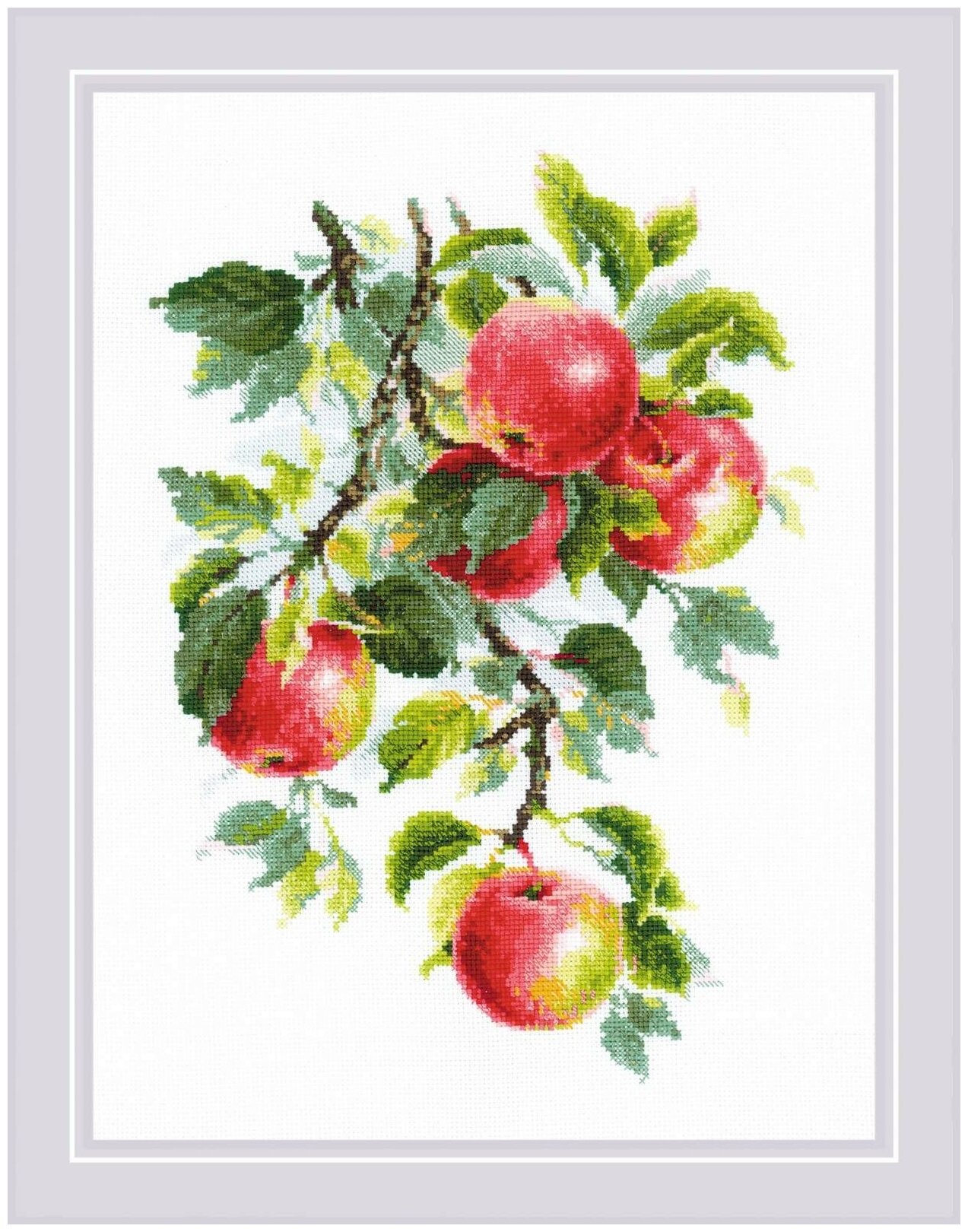 Наливные яблочки 1938