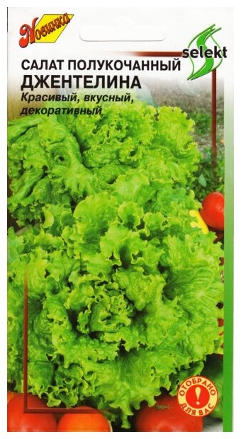 Салат Джентелина, 440 семян