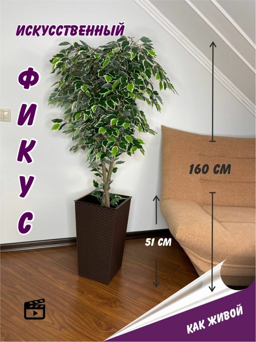 Искусственное растение фикус в кашпо