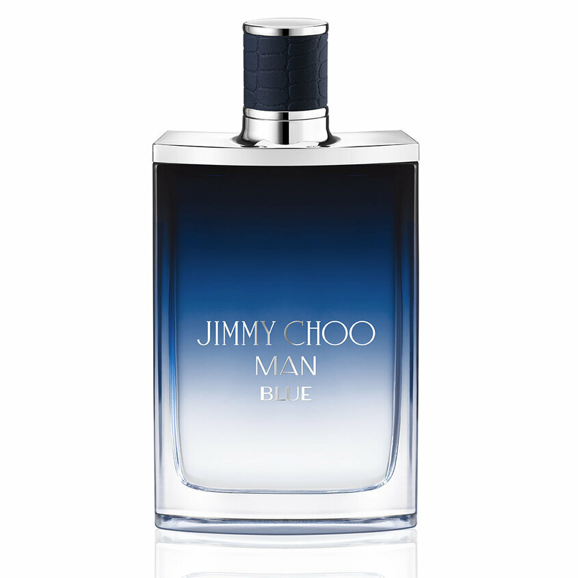 Туалетная вода JIMMY CHOO Man Blue, мужская, древесно-пряная, 100мл