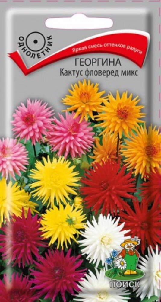 Семена Георгина Кактус фловеред микс 0,2г Одн 130см (Поиск)