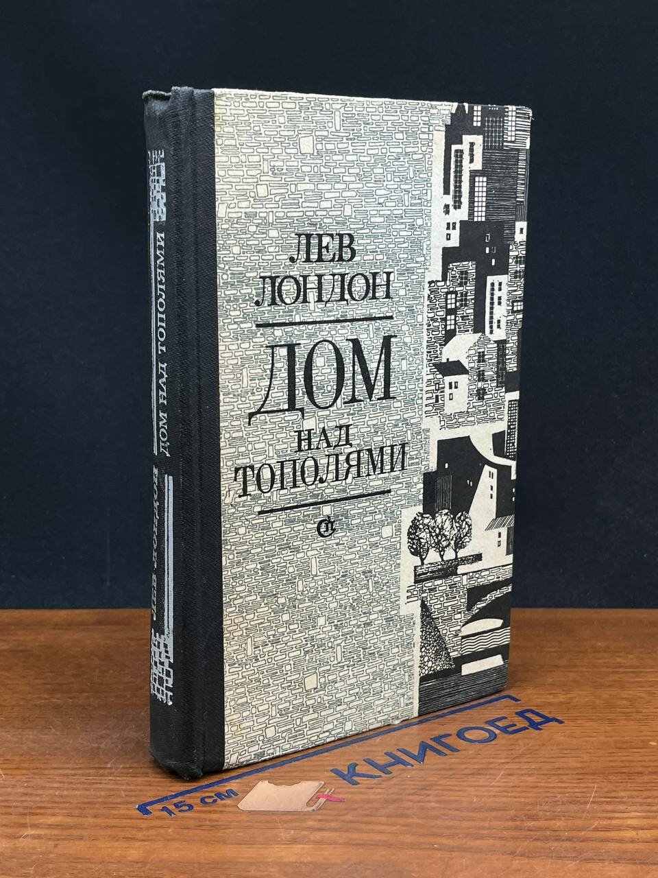 Книга. Дом над тополями 1982 (2041345930735)