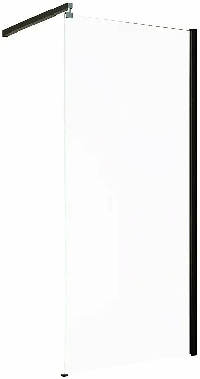Душевая перегородка Alex Baitler AB29120B1 120 см, профиль черный матовый, стекло прозрачное