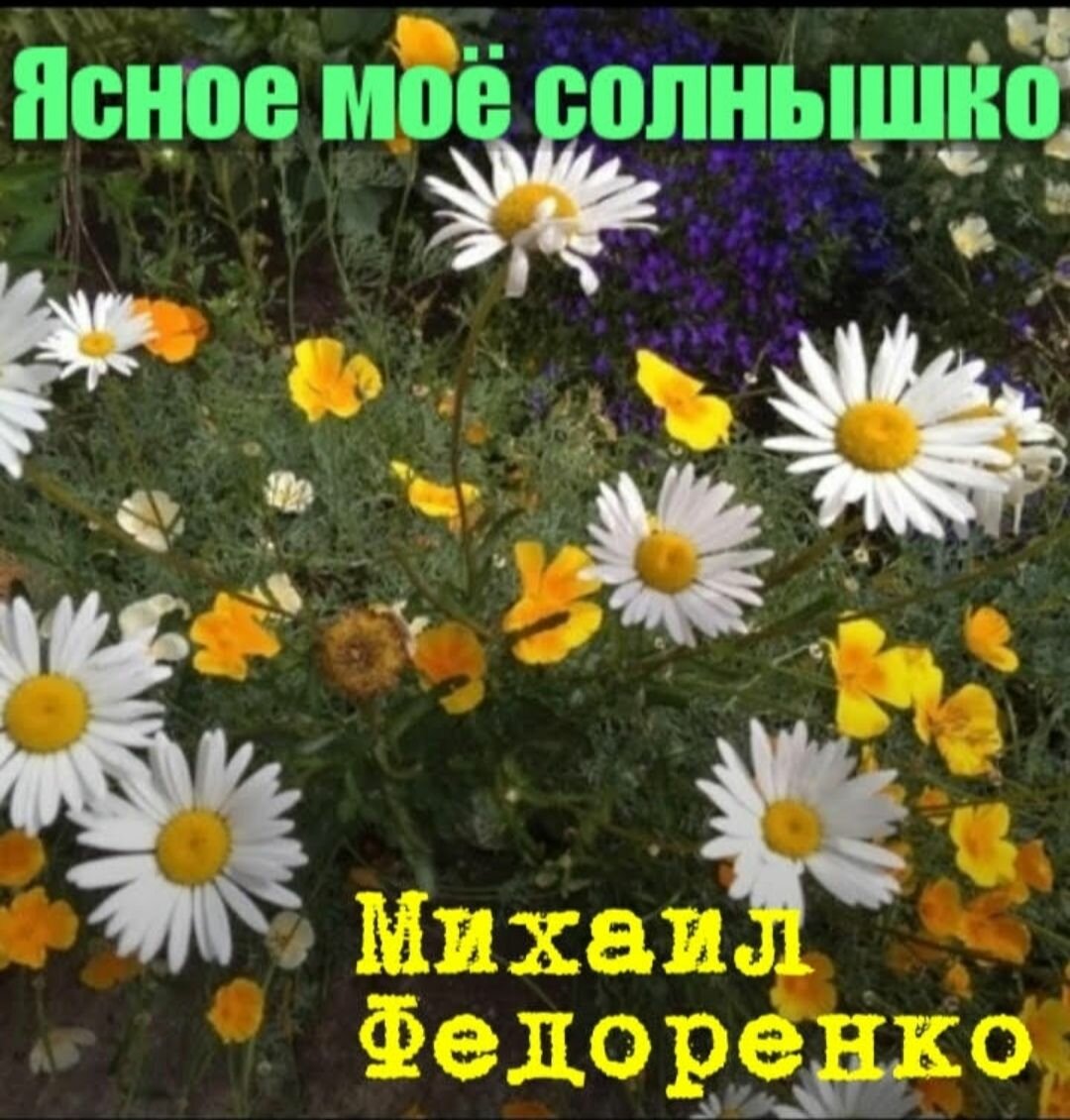 Ясное моё солнышко. Михаил Федоренко
