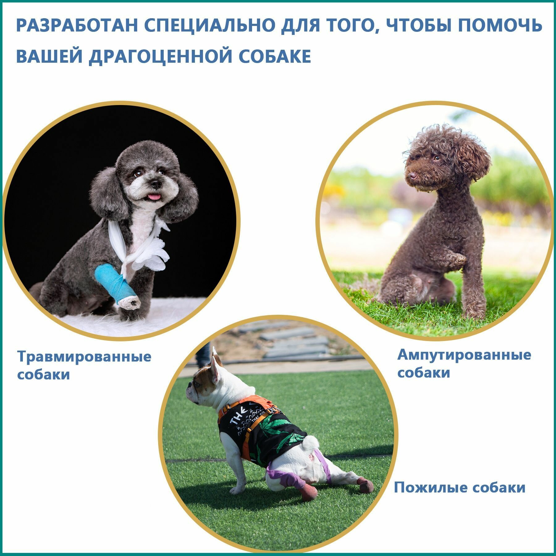 Полная поддержка для собак, Ходунки для пожилых и травмированных собак, Для кошек
