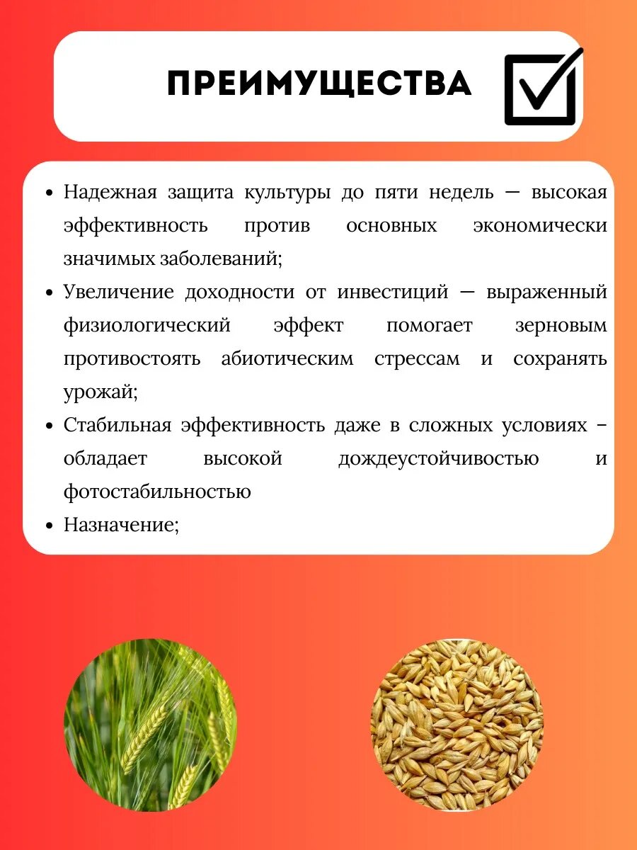 Элатус Эйс, КЭ 5л, фунгицид широкого спектра действия для пшеницы и ячменя — фото 1