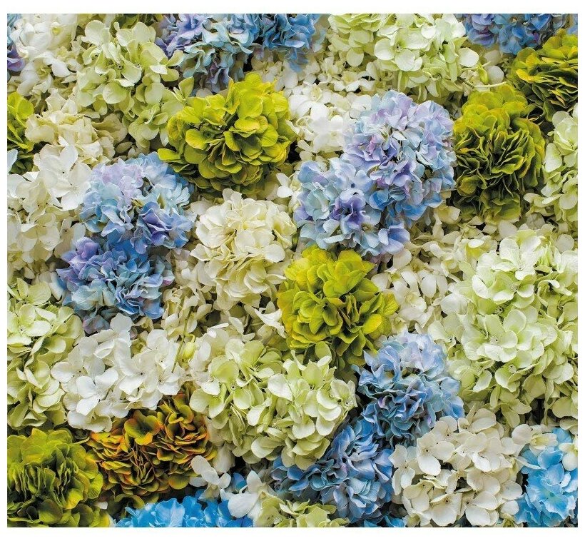 Фотообои Milan Свежесть гортензии, M 505, 200х180 см, виниловые на флизелиновой основе
