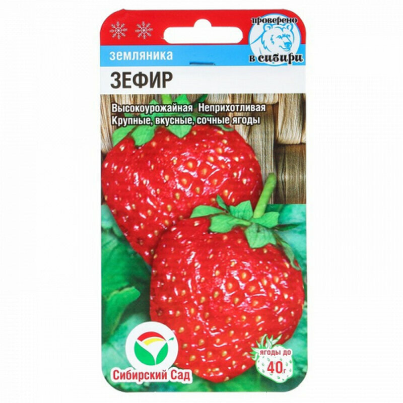 Семена Земляники крупноплодной (клубники) "Зефир" (10 семян)