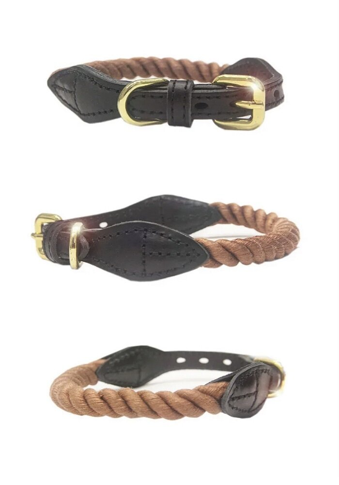 Ошейник с Характером Japan Premium Pet, коричневый, размер 2S