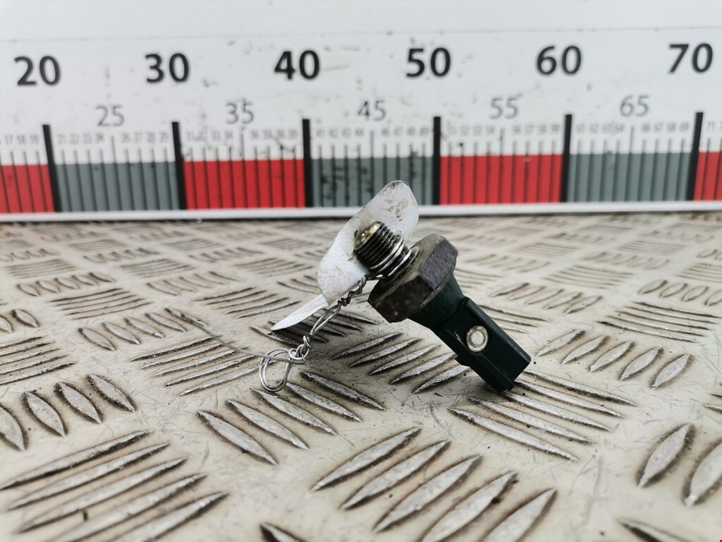 Датчик давления масла Skoda Fabia 1 036919081D арт. 2197951