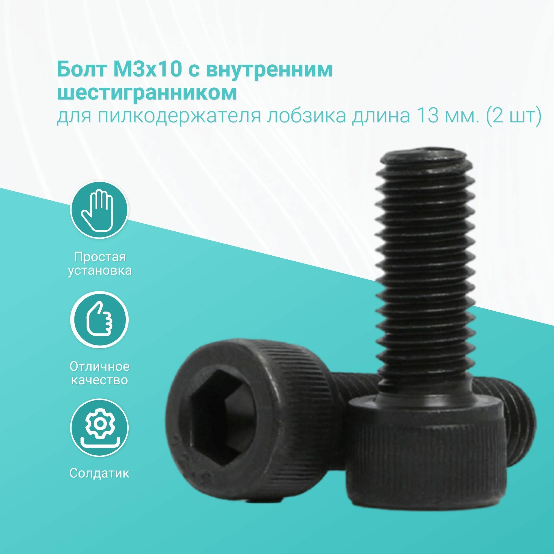 Болт М3х10 с внутр. шестигранн. для пилкодерж. лобз. длина 13 мм. (2 шт)