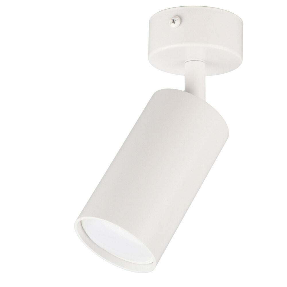 Спот Ritter Arton GU10 40 Вт 4 кв. м белый IP20 (59964 7)