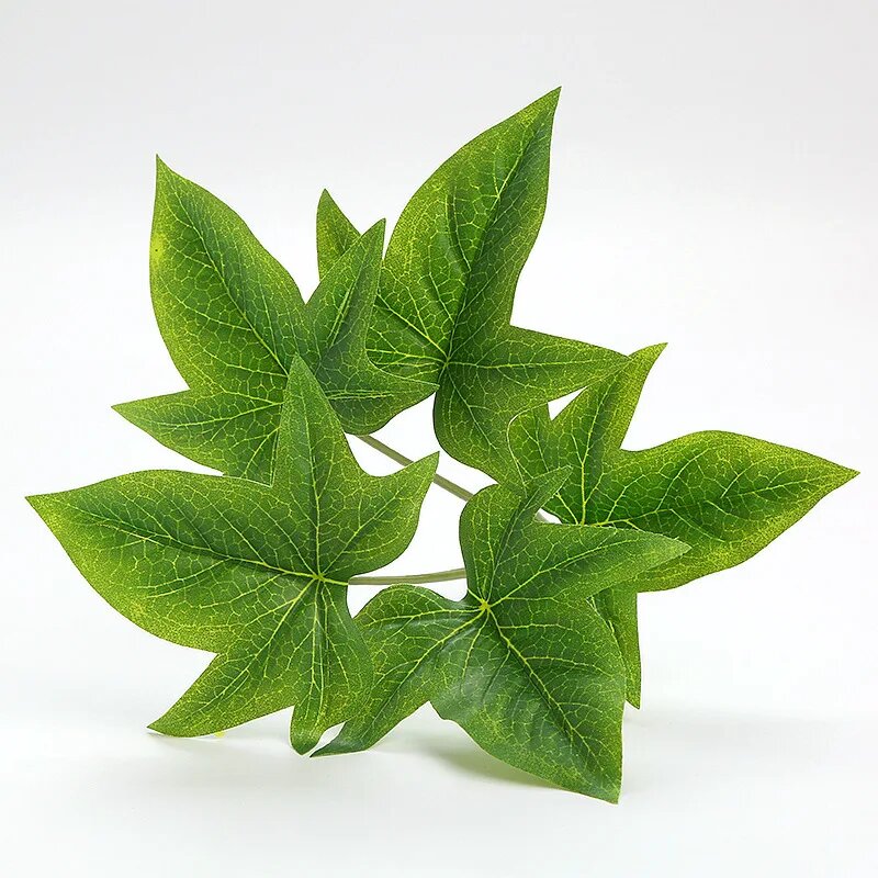 Искусственные листья папоротника, Sweet potato leaf