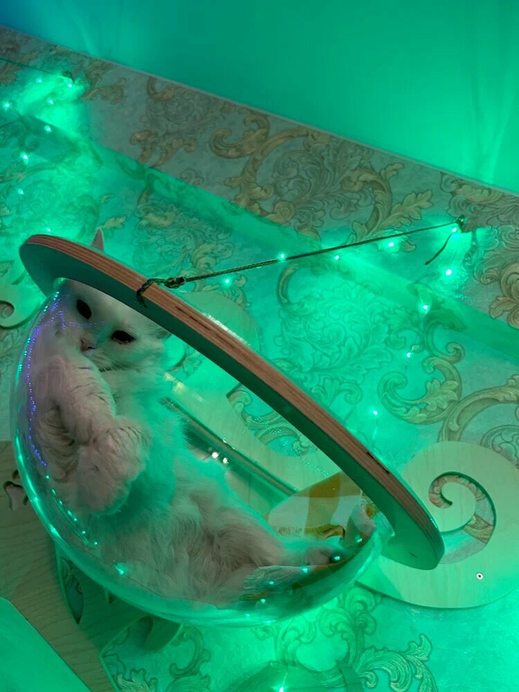 Лежанка для кошек "Ляпота для Кота", настенная, круглая, ПВХ