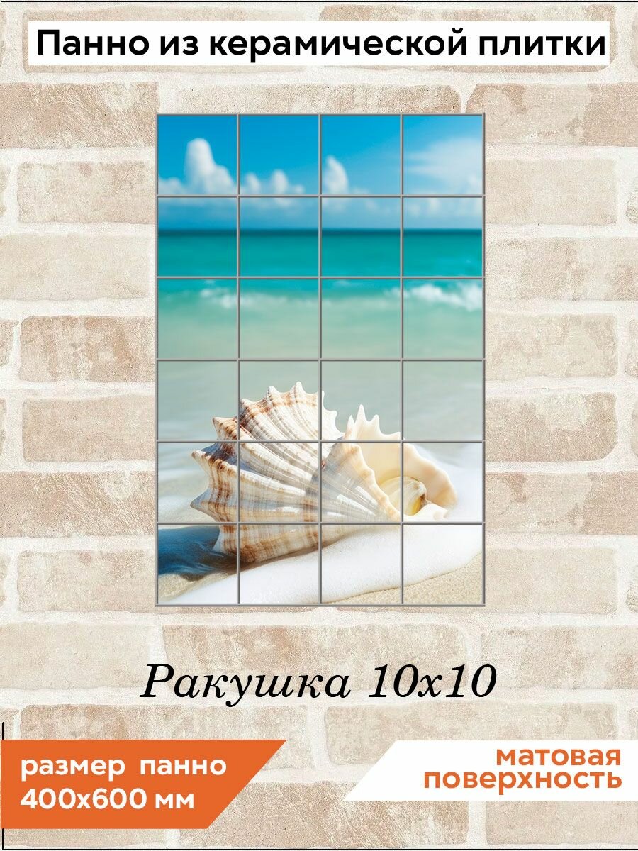 Панно из керамической плитки Ракушка 10х10