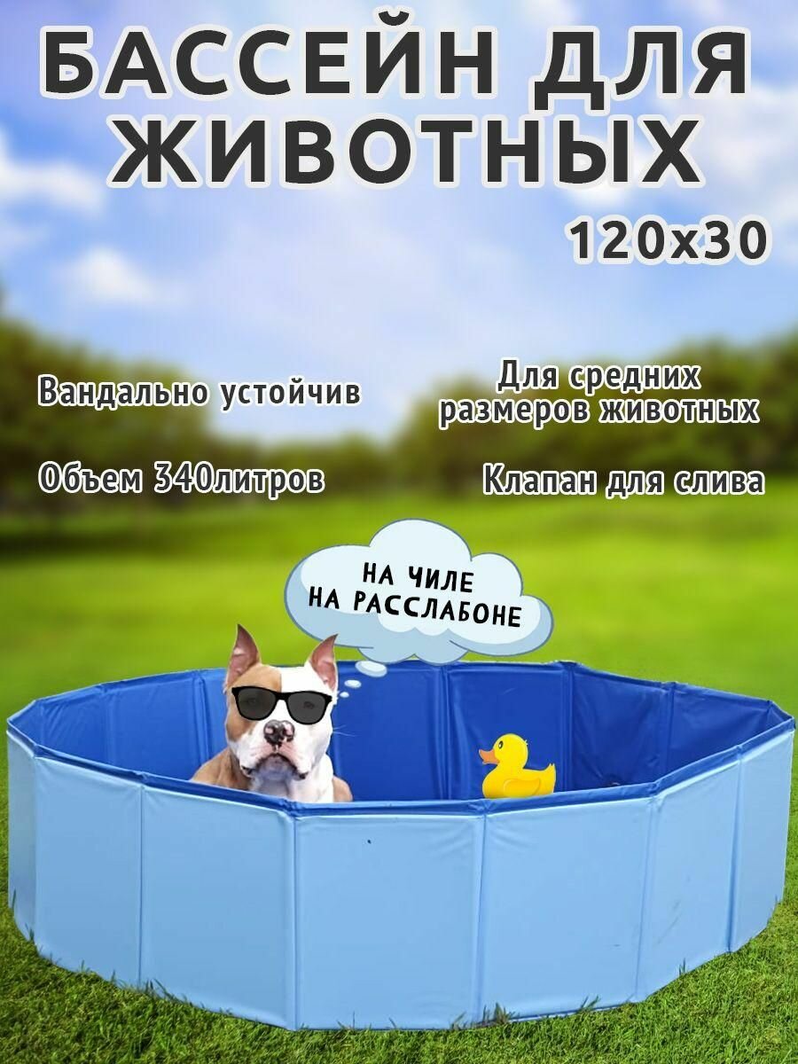 Бассейн складной для животных каркасный 120х30