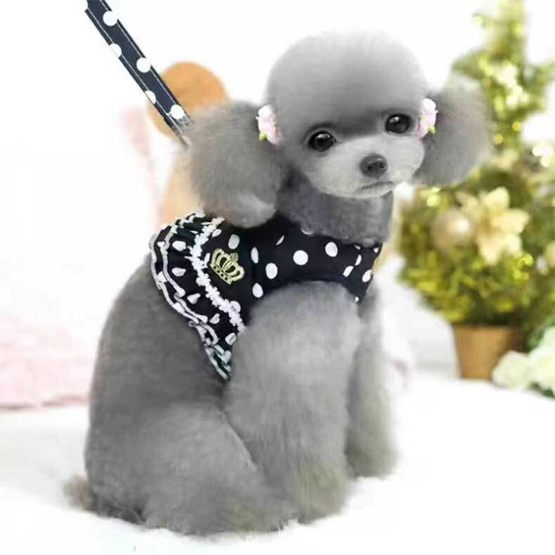 Трансграничный поводок для собак, поводок для собак, поводок для собак Волновой точечный черный костюм на груди и спине