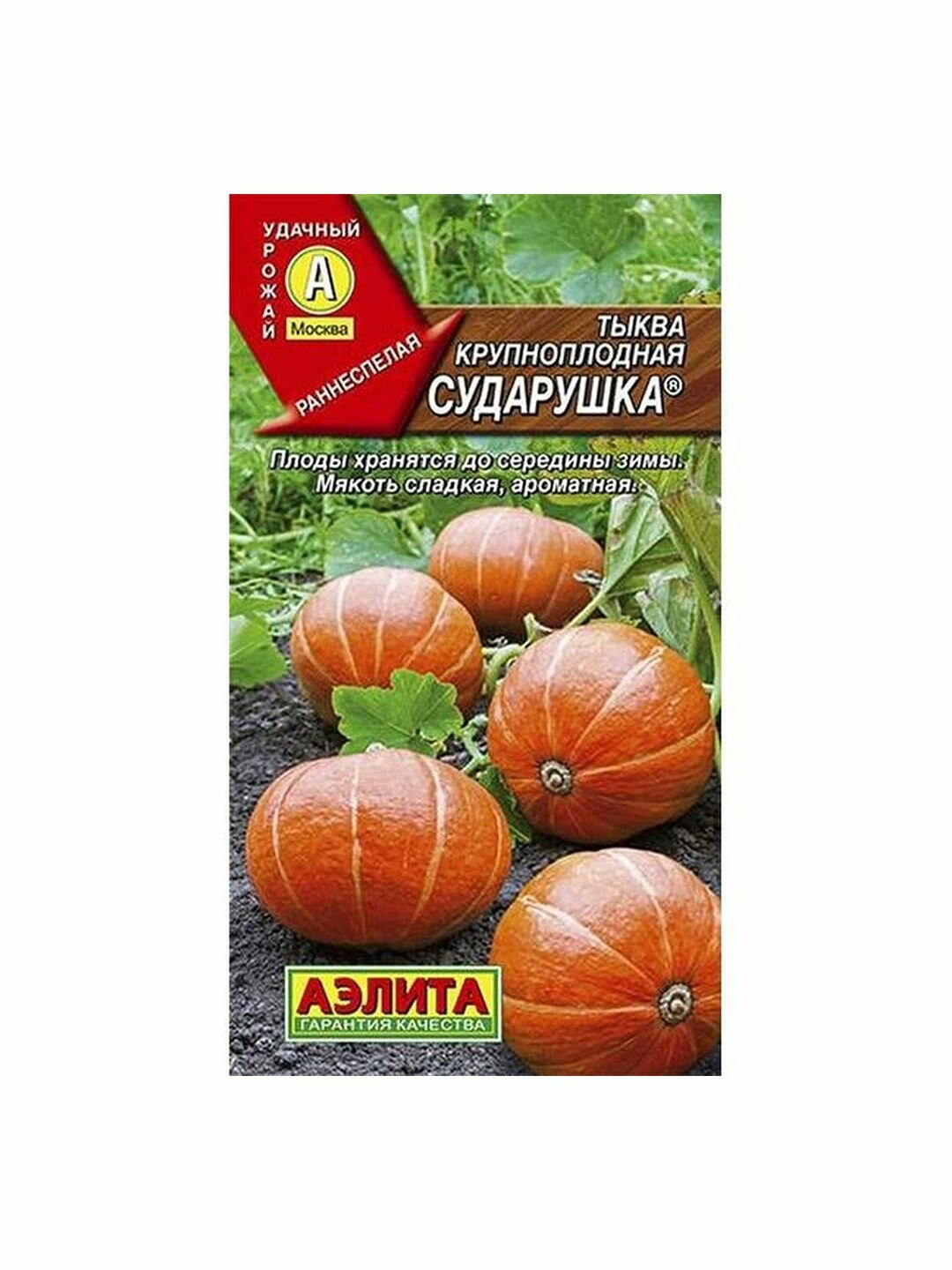 Семена Тыква Сударушка, раннеспелый, Аэлита, 1 пачка - 1г семян