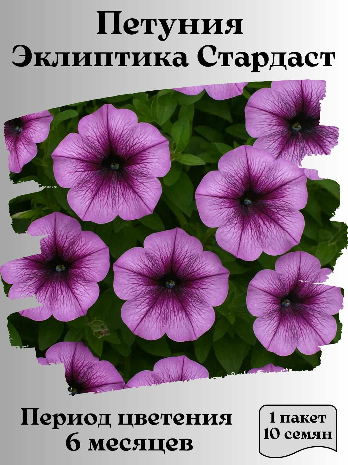 Петуния Эклиптика Стардаст, семена, 10 шт, 15 гр.