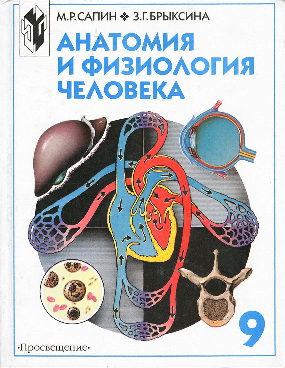 Анатомия и физиология человека. 9 класс. Учебник Брыксина Зинаида Глебовна, Сапин Михаил Романович