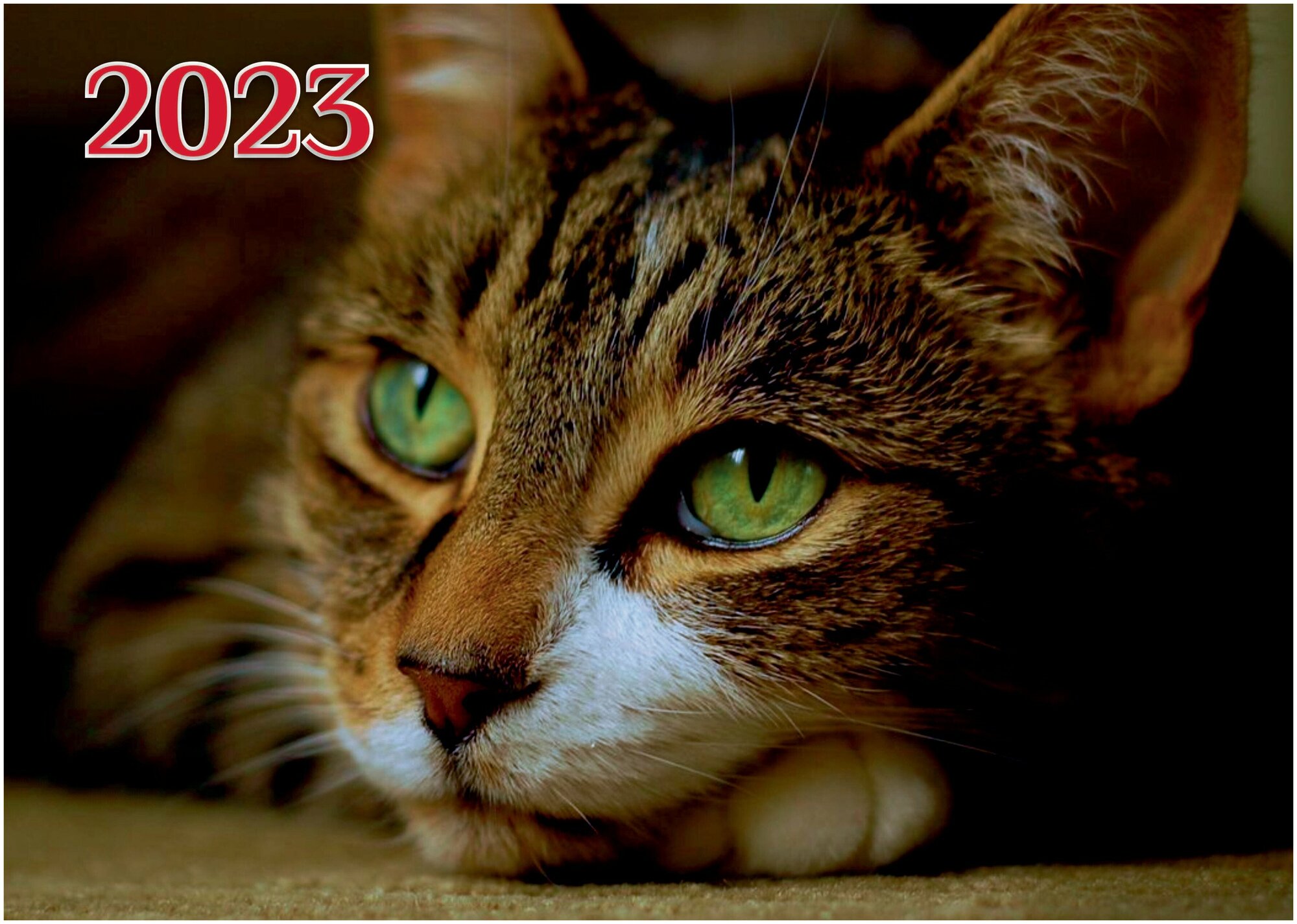 Календарь квартальный, серия "Символ года", название "Задумчивый кот"