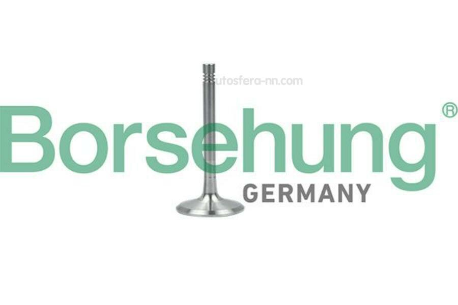 BORSEHUNG B19001 Клапан выпускной