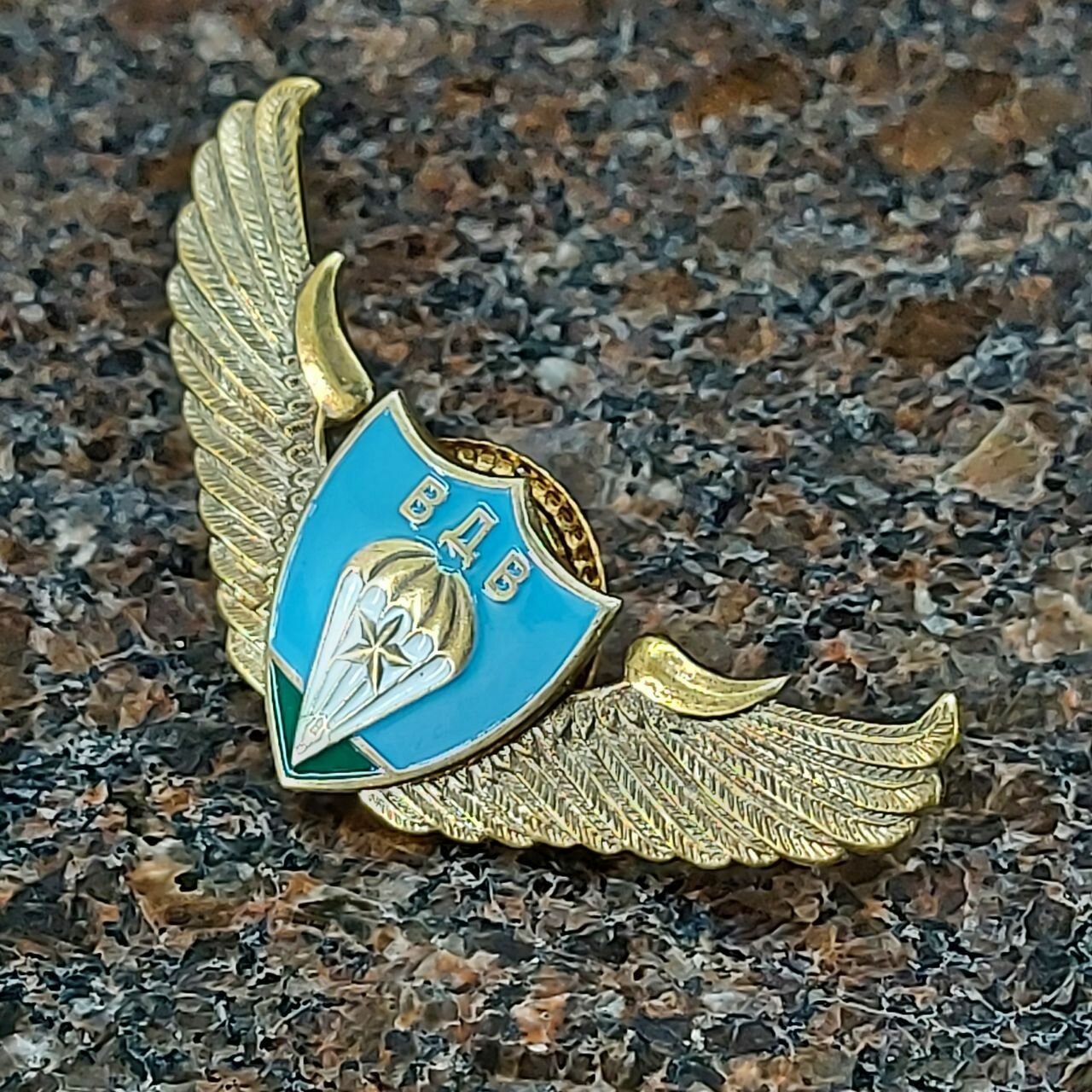 Знак нагрудный ВДВ / спецназ