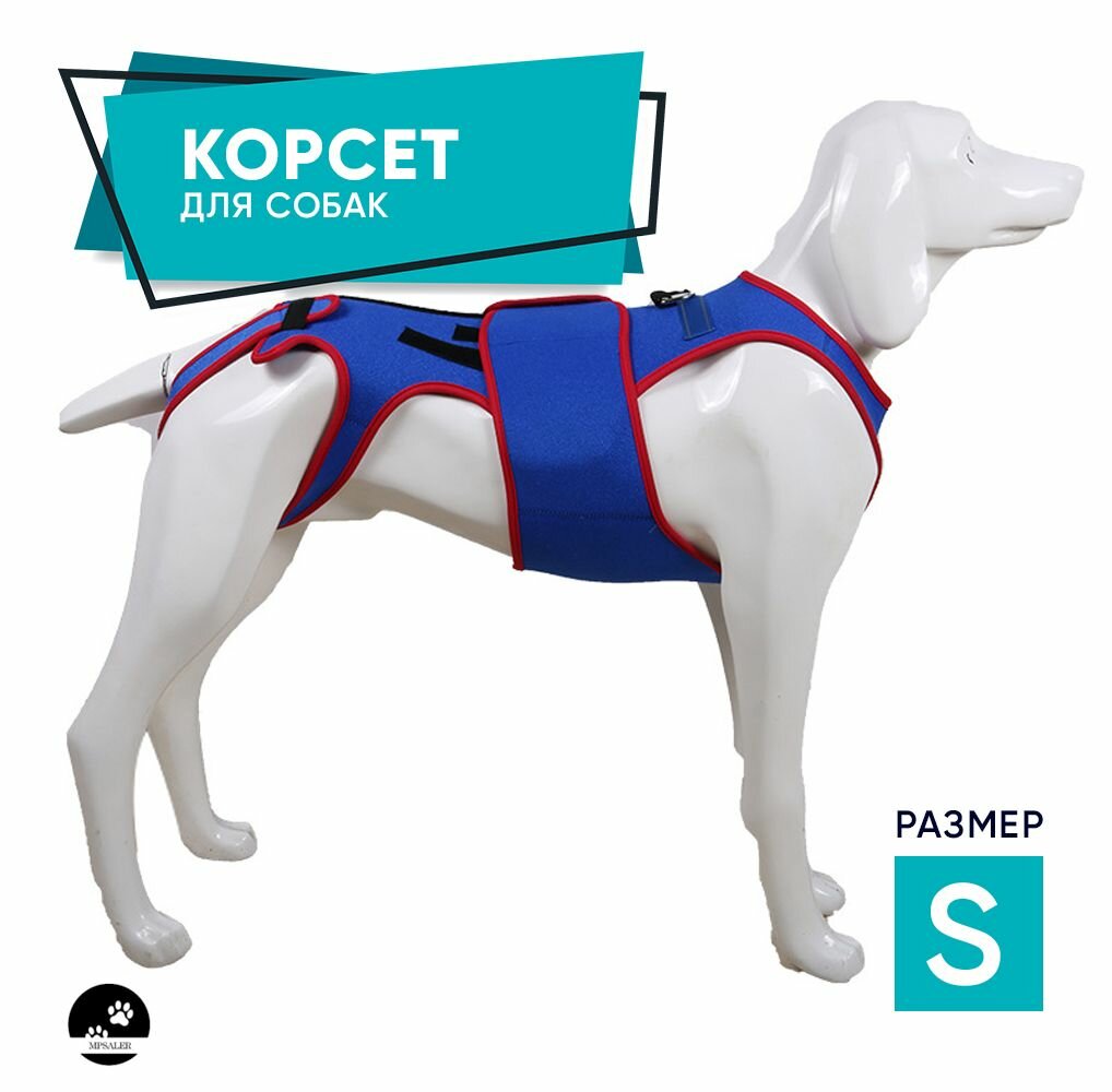 Корсет для спины собаки при болезни межпозвоночных дисков (IVDD). Размер S