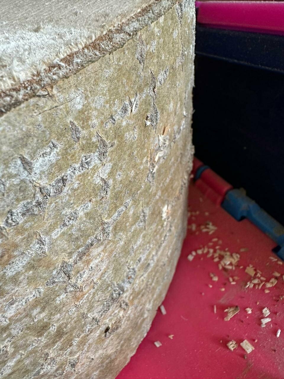 Чурка хозяйственная из осины сибирской