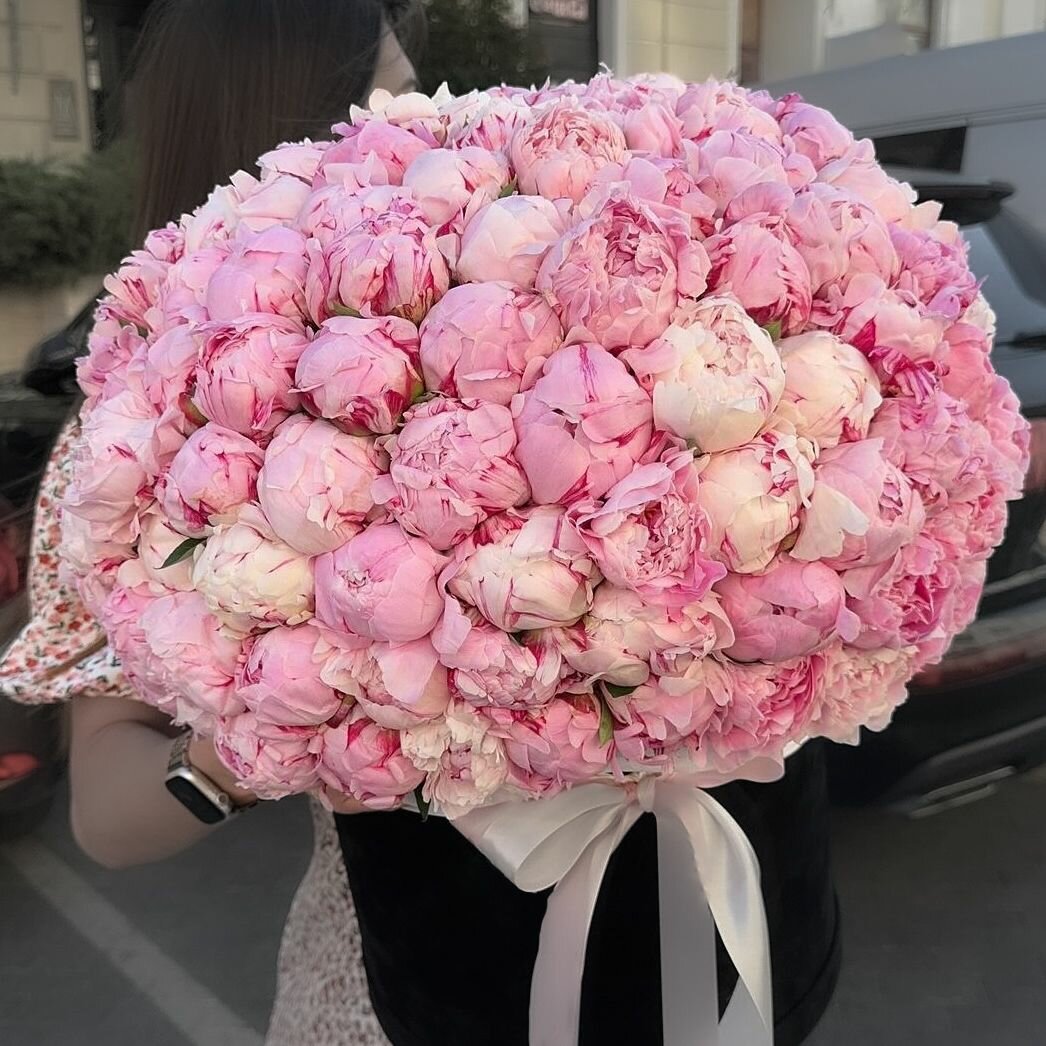 101 пион в коробке