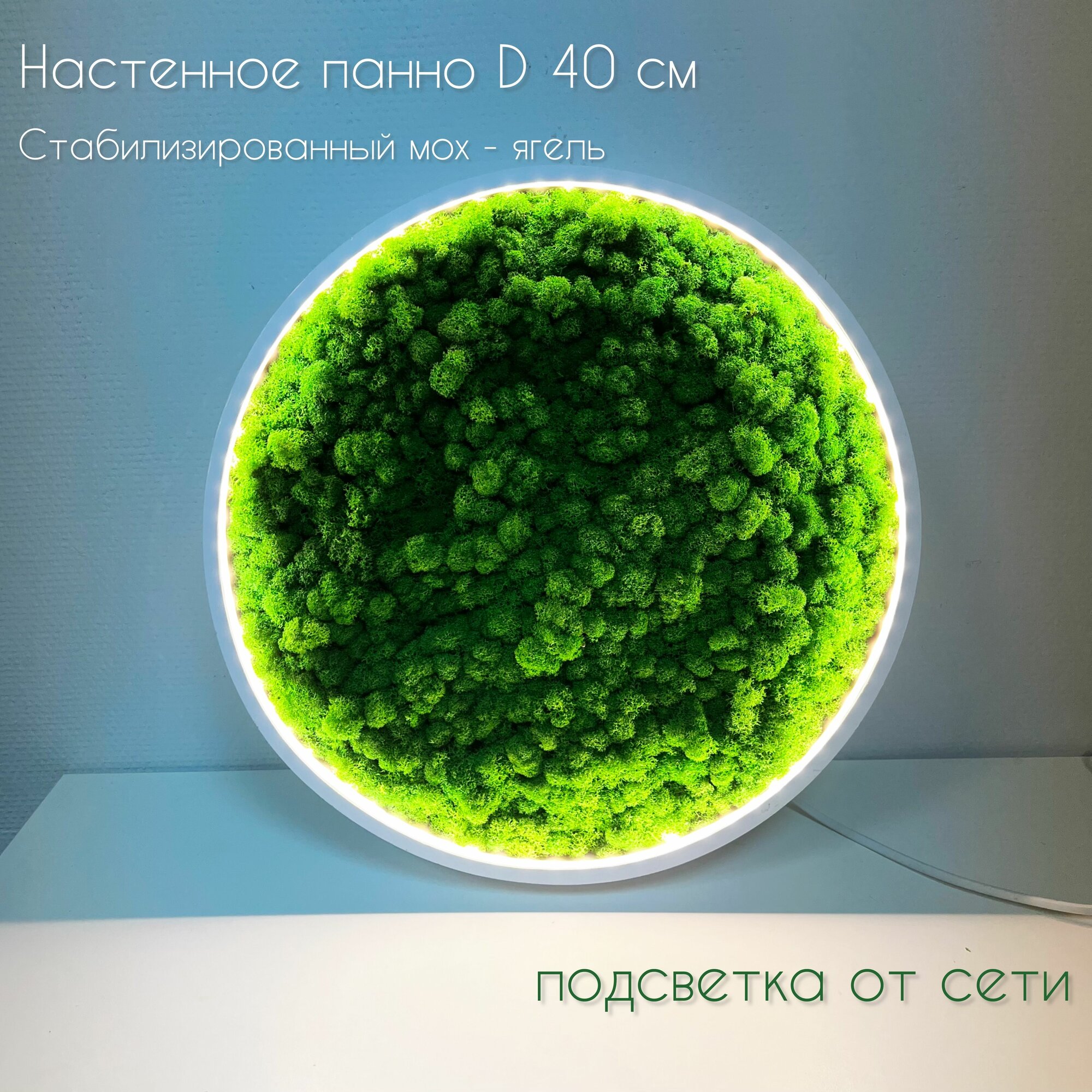 Панно круг со мхом ягель со светом 40 см, стабилизированный мох MyMossLife