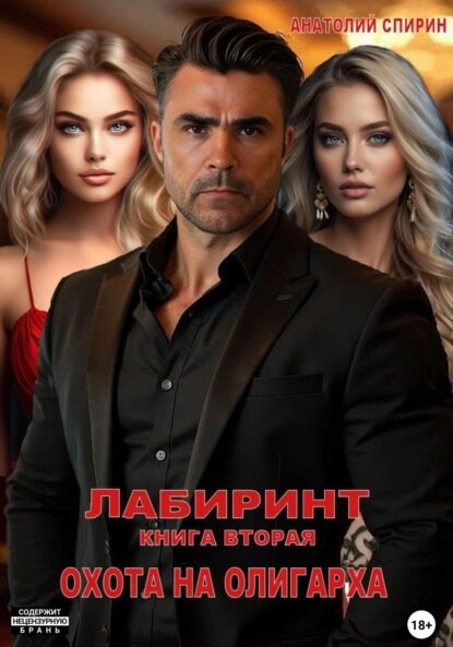 Лабиринт. Книга вторая. Охота на олигарха [Цифровая книга]