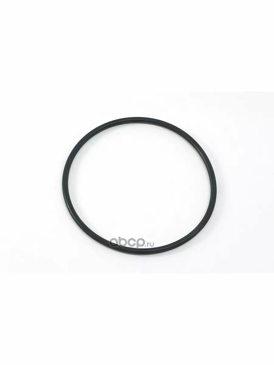 Уплотнительное кольцо VAG N 91095601 Комплект из 2 шт