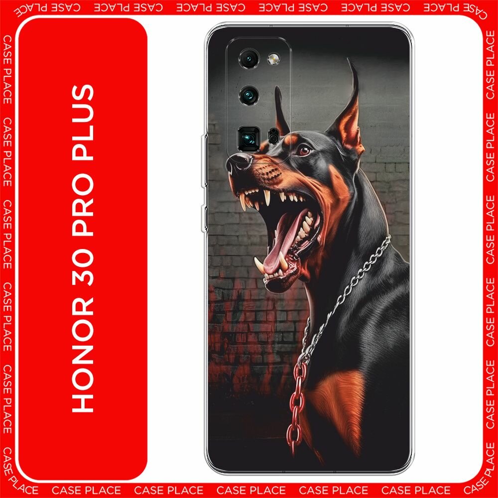 Чехол на Honor 30 Pro Plus / Хонор 30 Про Плюс с принтом "Доберман с цепью"