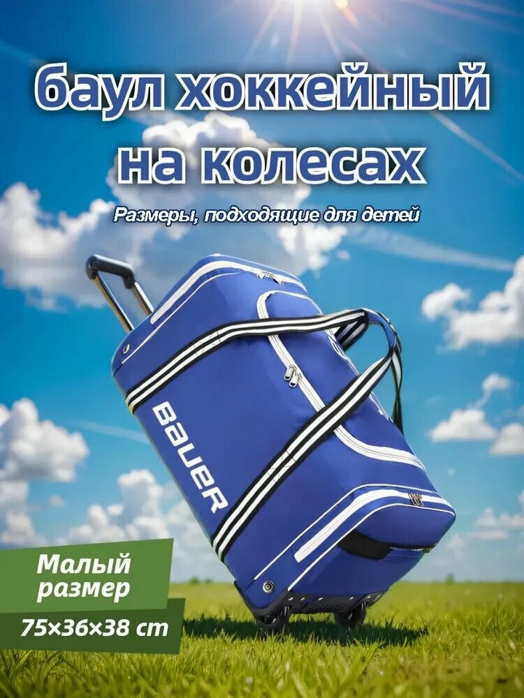 Хоккейный баул