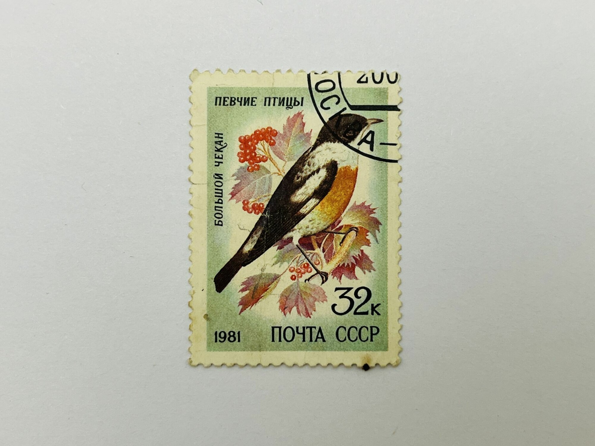 Певчие птицы. Большой чекан. Фауна. СССР. 1981. Загорский: 5157. Гашен. Дефект