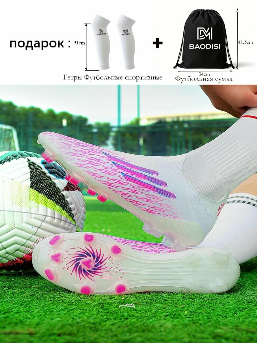 Сороконожки