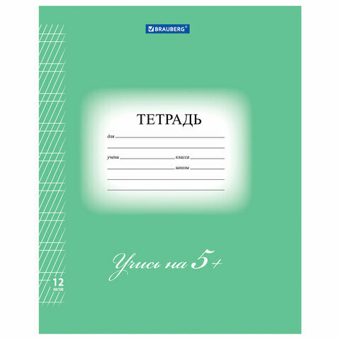 5 шт. Тетрадь 12 л. BRAUBERG ЭКО "5-КА", частая косая линия, обложка картон 170 г/м2, зеленая, 104766