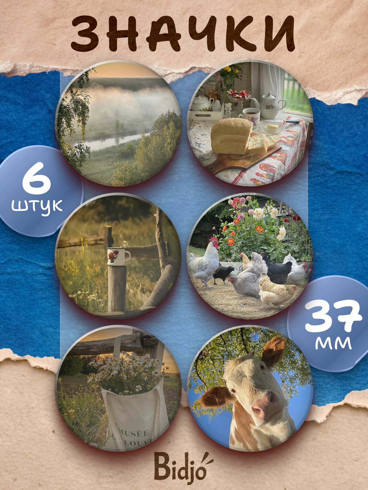 Набор значков Bidjo