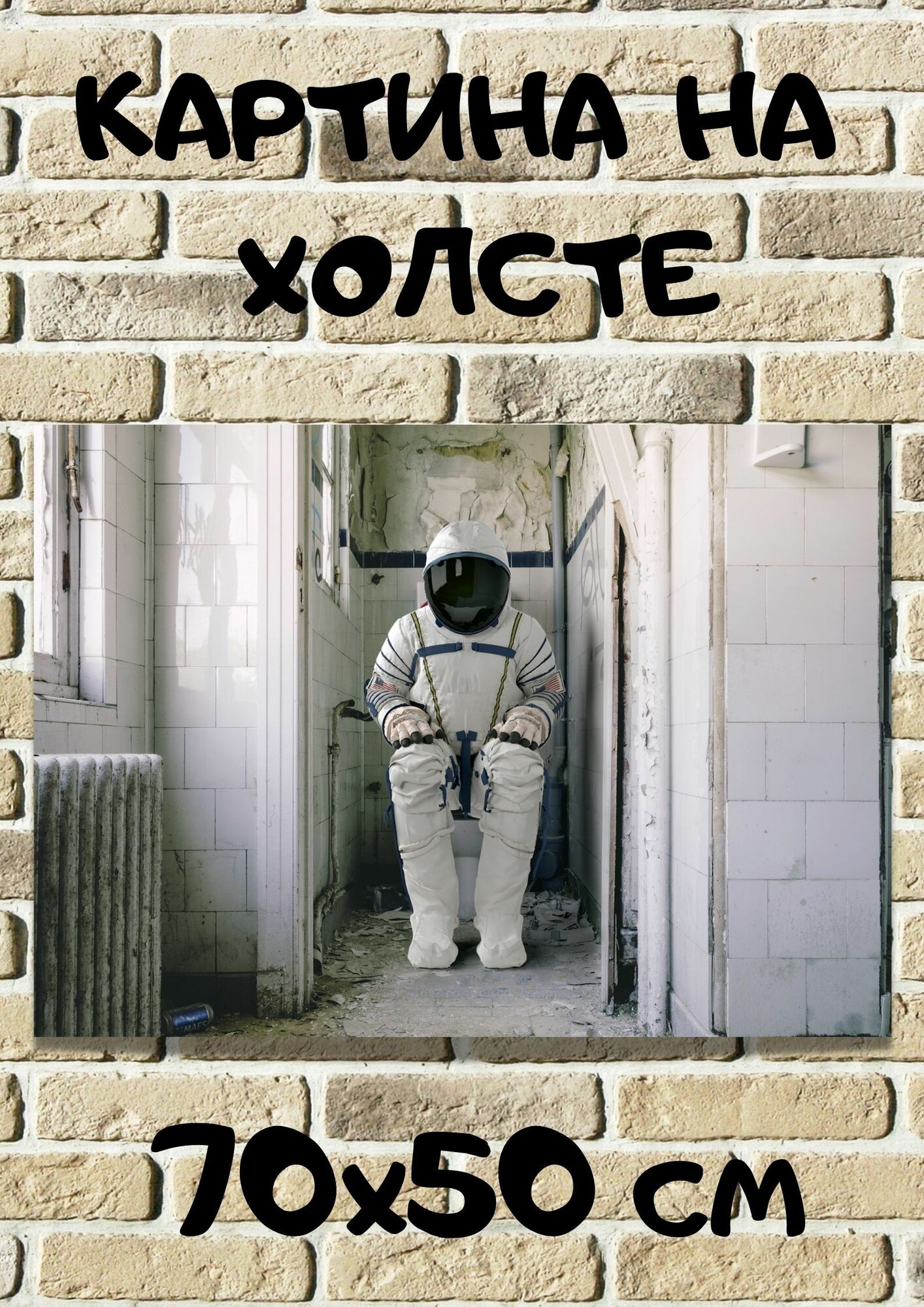 Картина в туалет / Сидящий на унитазе космонавт