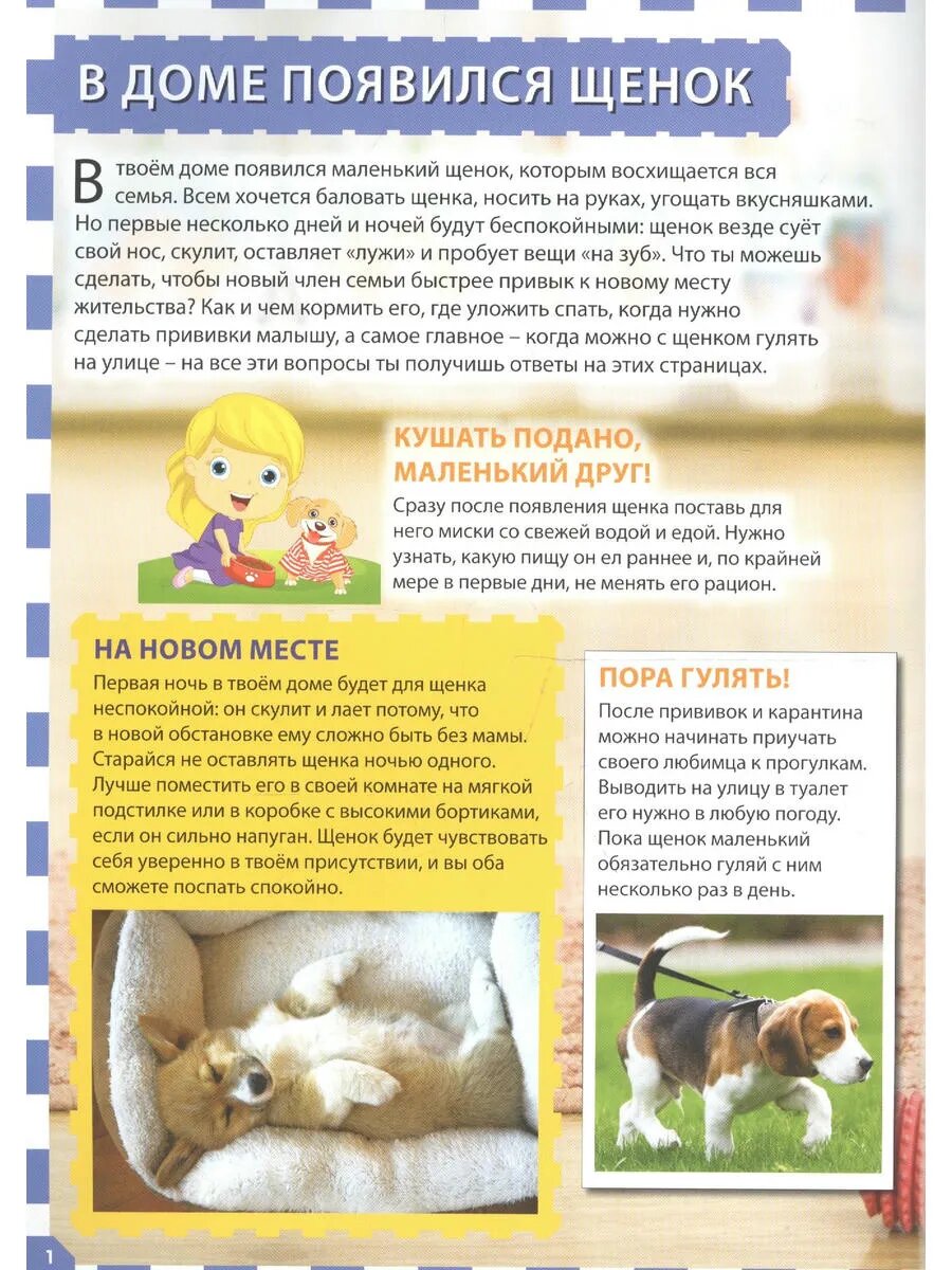 Собаки и щенки — фото 1