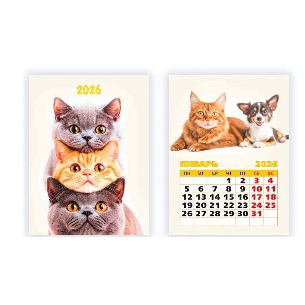 Календарь отрывной на магните 'Котики' 2026, серия 'Квадра', компактный формат