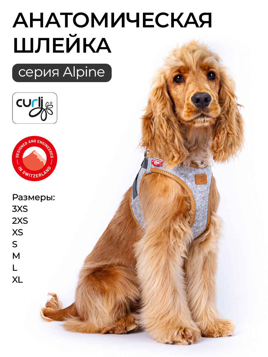 Шлейка для собак анатомическая легкая Curli Alpine для мелких и средних пород, серая, XL