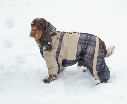 Теплый комбинезон для английского кокер-спаниеля суки, на флисе, модель Спортивный, цвет клетка