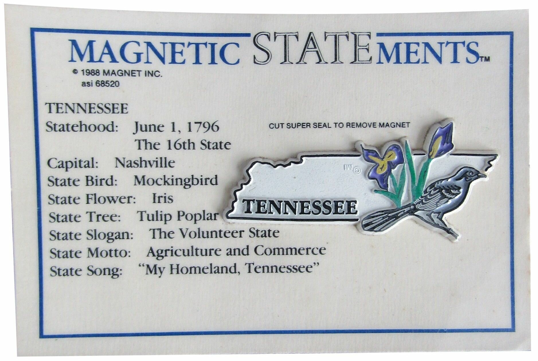 Magnetic Statements. Tennessee Магнит на холодильник