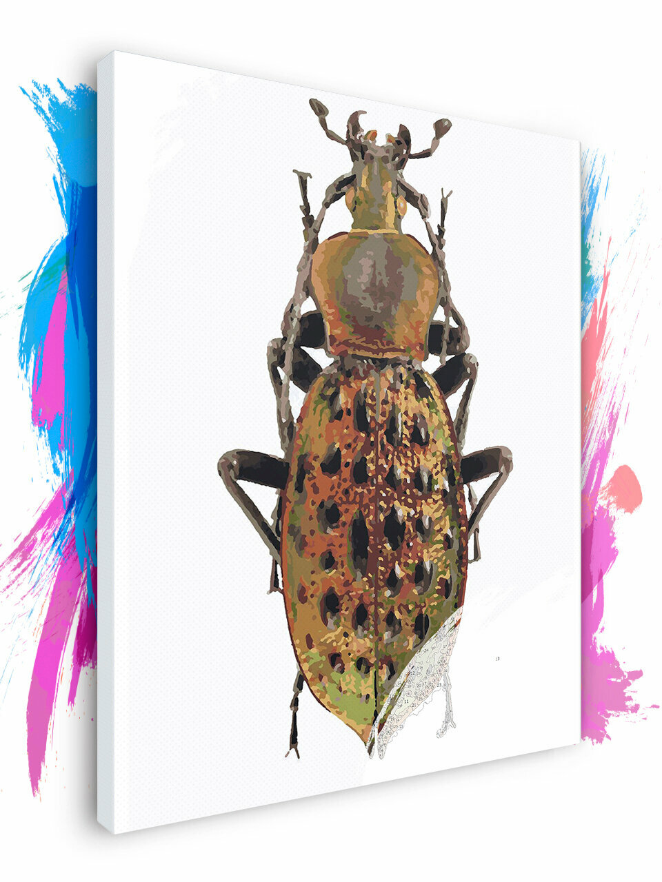 Картина по номерам на холсте Коричневый жук, 40 х 50 см